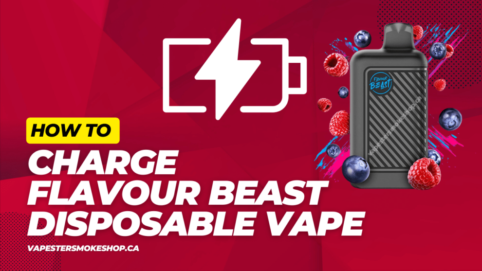 How to Charge Flavour Beast Disposable Vape